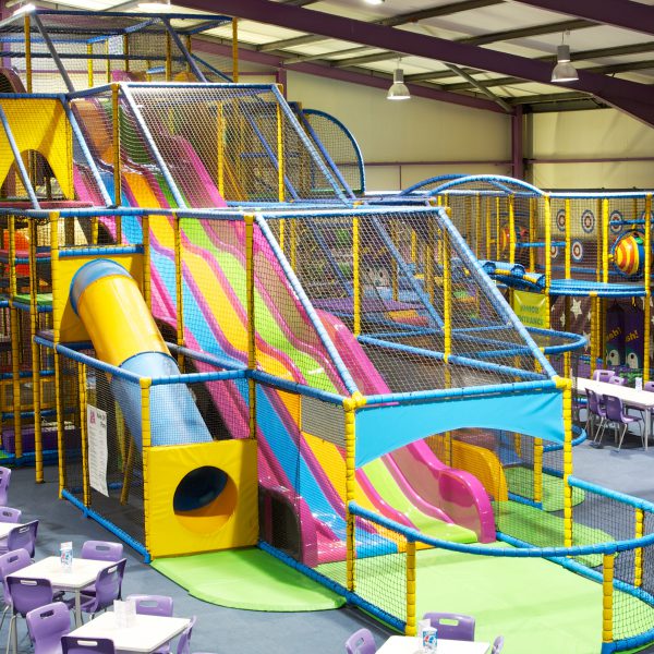 The Fun Factor | Gallery