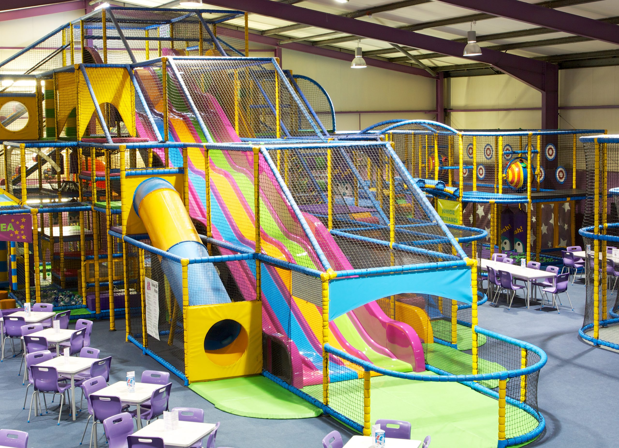 The Fun Factor | Gallery