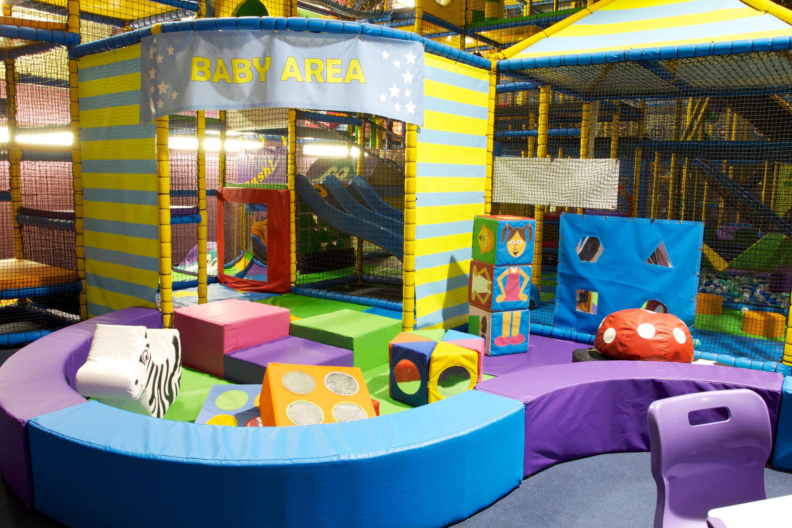 The Fun Factor | Gallery